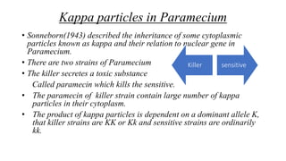 Cytoplasmic inheritance and extra chromosomal inheritance | PPTX