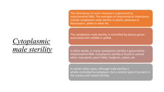 Cytoplasmic inheritance and extra chromosomal inheritance | PPTX