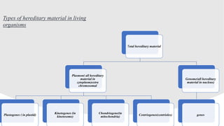 Cytoplasmic inheritance and extra chromosomal inheritance | PPTX