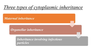 Cytoplasmic inheritance and extra chromosomal inheritance | PPTX