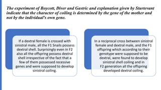 Cytoplasmic inheritance and extra chromosomal inheritance | PPTX