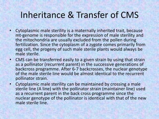 Cytoplasmic male sterility | PPTX