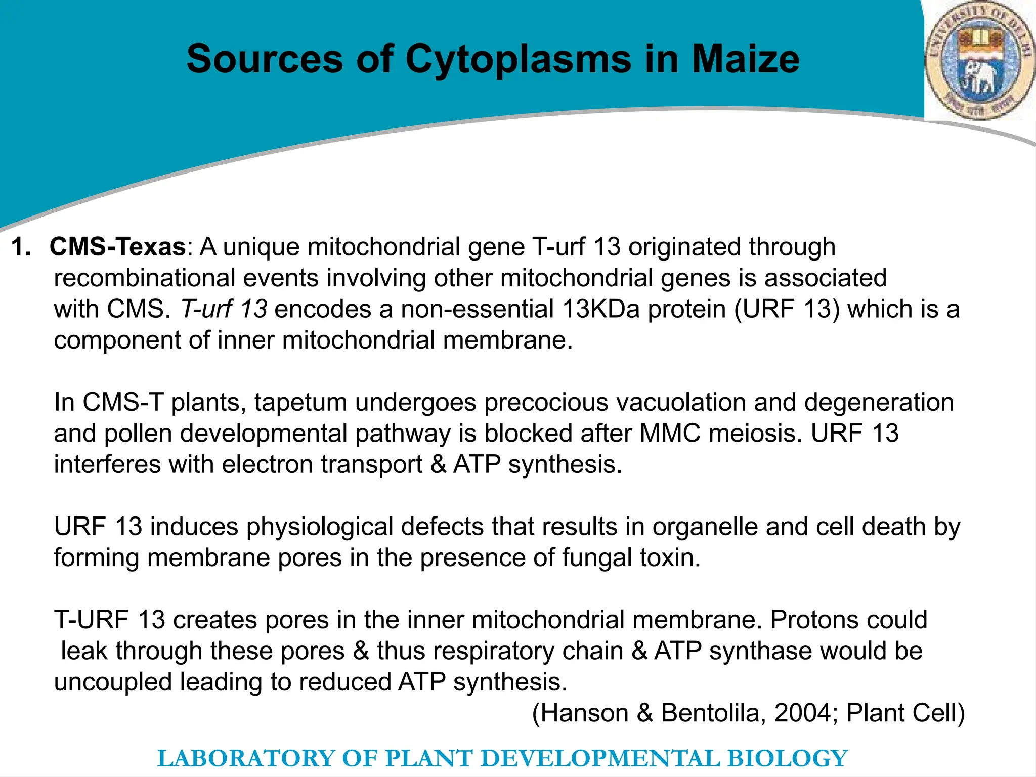 Cytoplasmic Male Sterility.pptx cytogenetics | PPTX