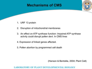 Cytoplasmic Male Sterility.pptx cytogenetics | PPTX