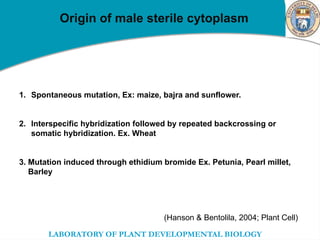Cytoplasmic Male Sterility.pptx cytogenetics | PPTX