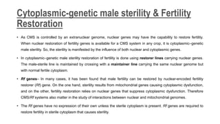 Cytoplasmic male sterility in plants.pptx
