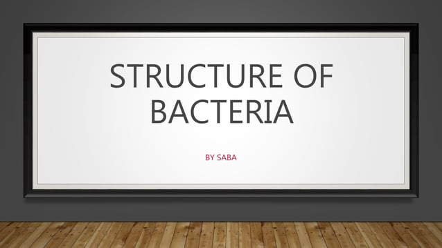 Inner structure of bacteria | PPTX | Biological Sciences | Science