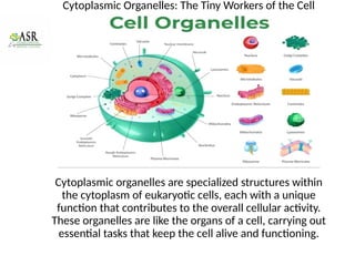 cytoplasmic Organelles.pptx(types and functions) | PPT