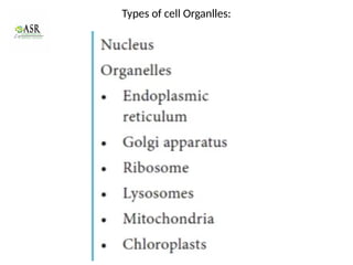 cytoplasmic Organelles.pptx(types and functions) | PPT