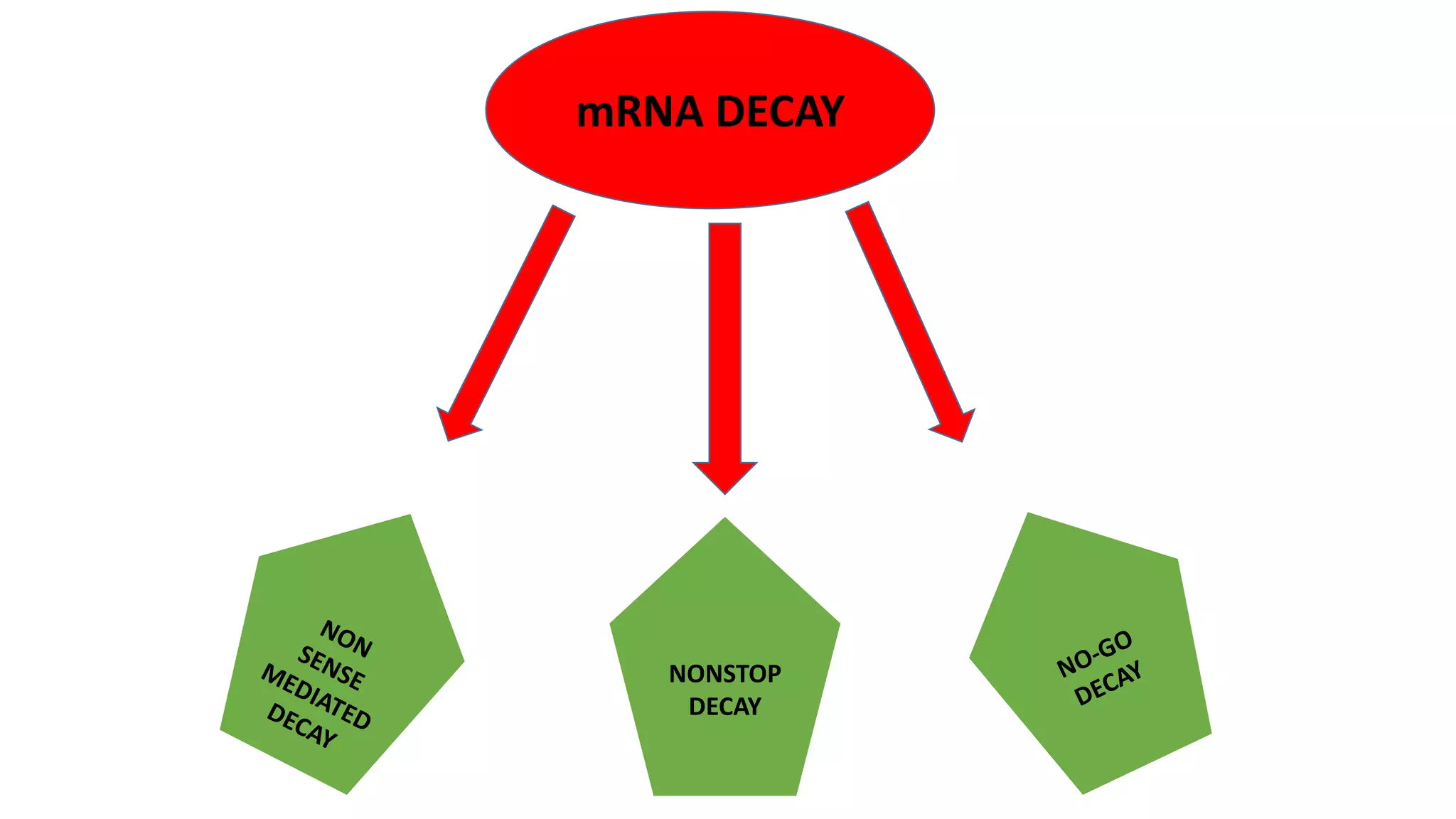 Cytoplasmic surveillance and RNA degredation | PPTX