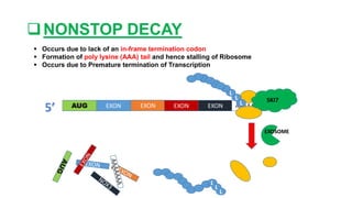 Cytoplasmic surveillance and RNA degredation | PPTX