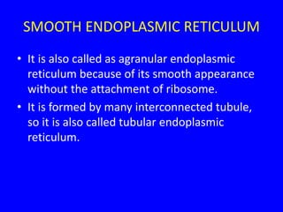 Cytoplasm seminar | PPT