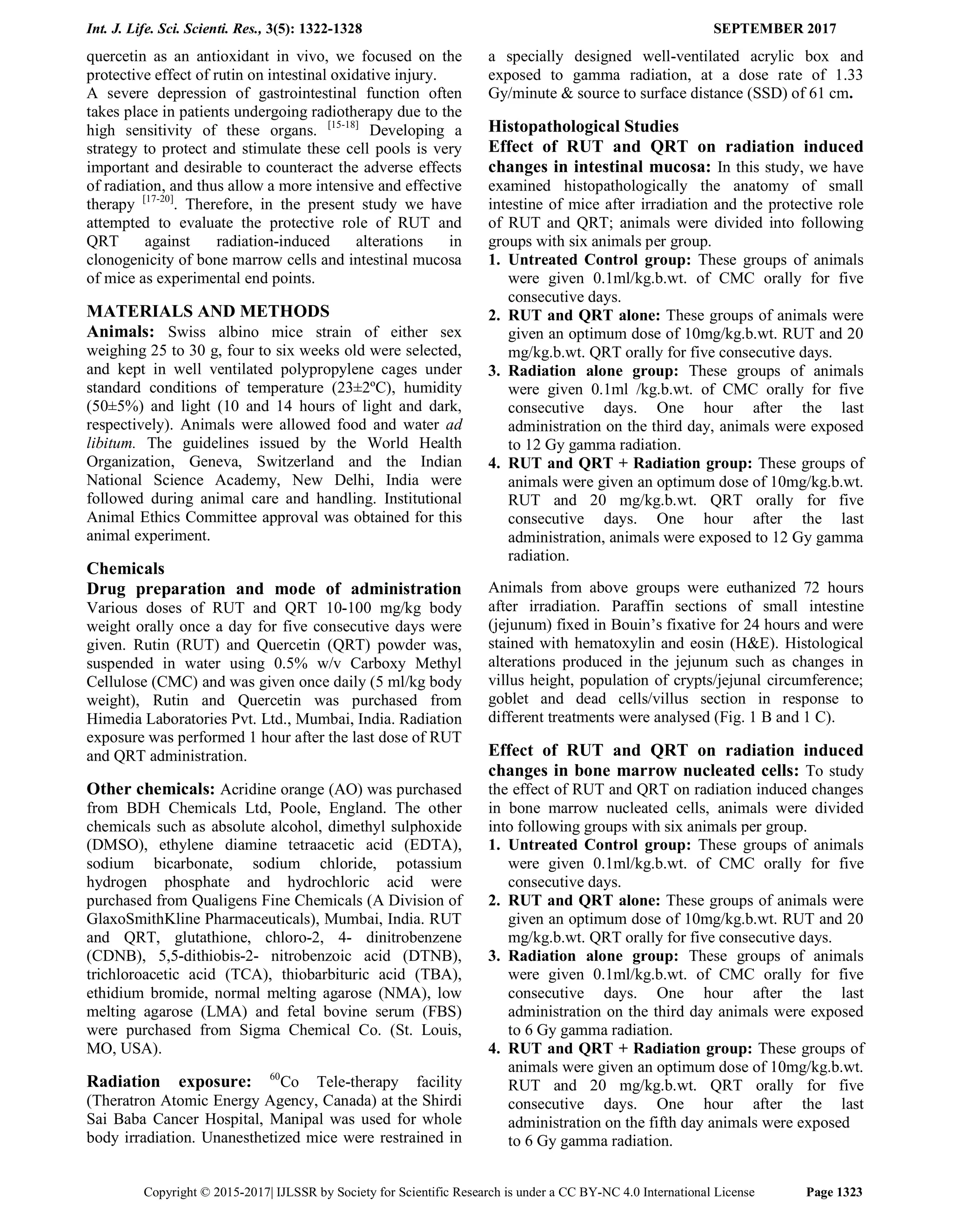 Cytoprotective Potential of Rutin and Quercetin in Swiss Mice Exposed ...