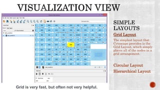 Cytoscape basic features | PPTX