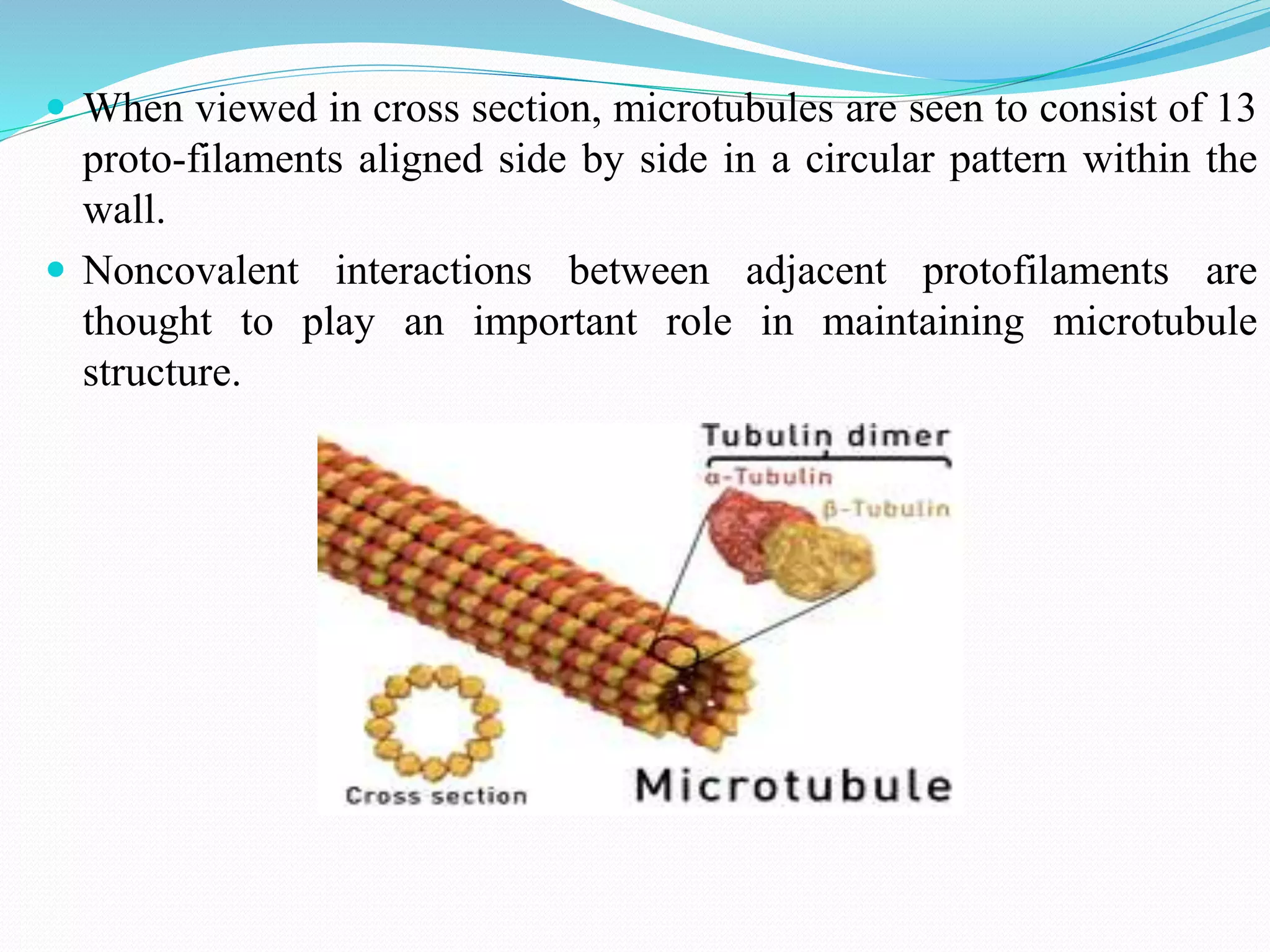 Cytoskeletal structures | PPTX