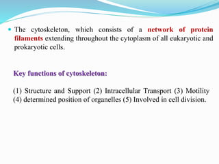 Cytoskeletal structures | PPTX | Biological Sciences | Science