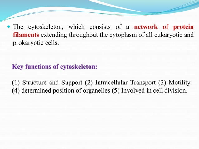Cytoskeletal structures | PPTX | Biological Sciences | Science