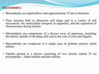 Cytoskeletal structures | PPTX | Biological Sciences | Science