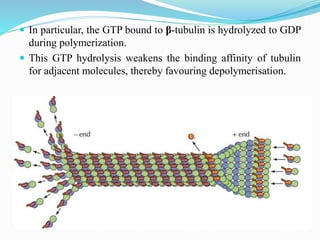 Cytoskeletal structures | PPTX
