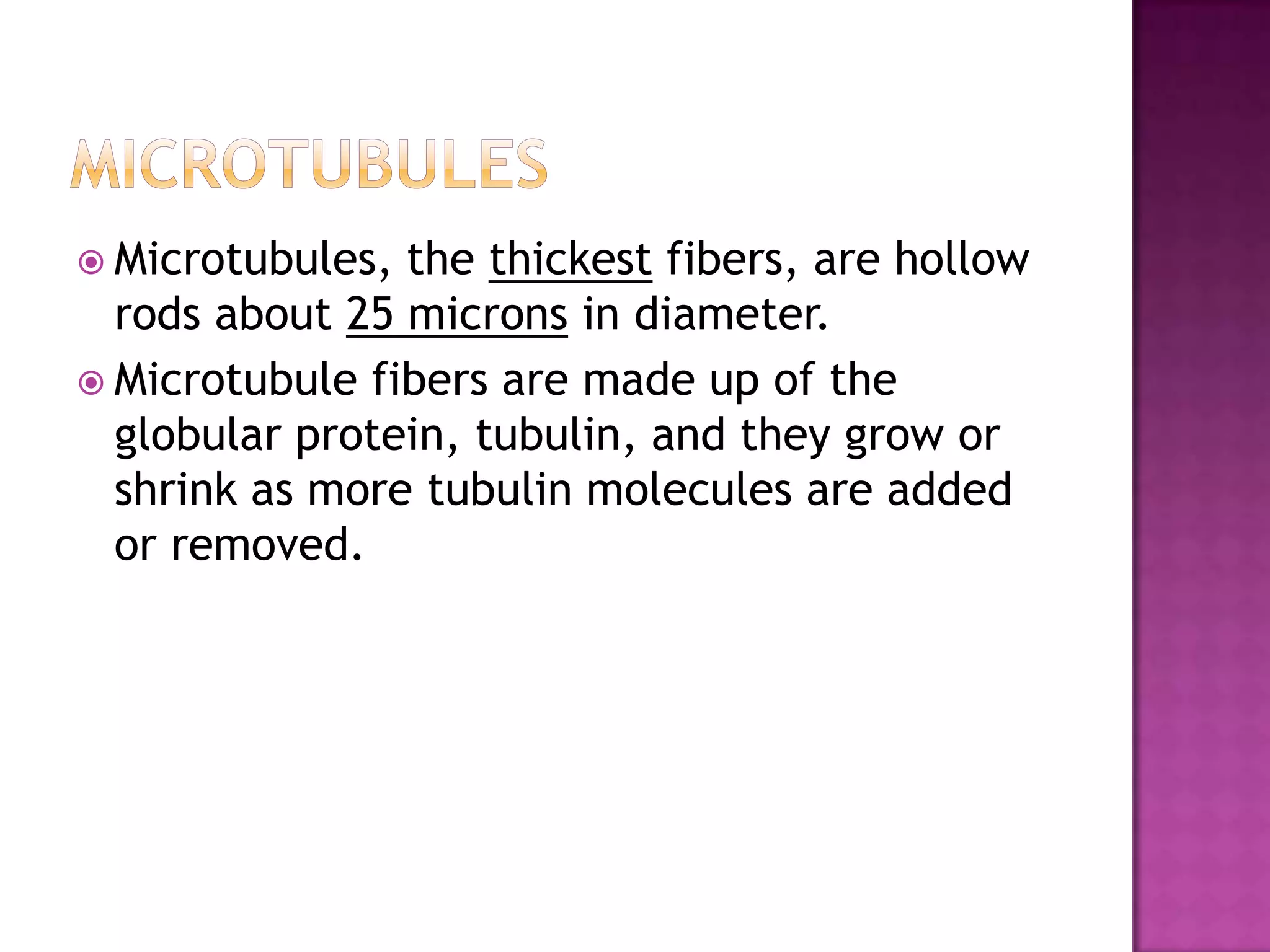 Cytoskeleton | PPTX