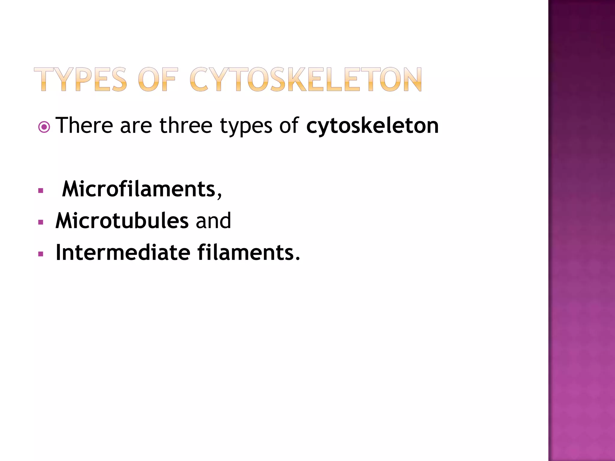 Cytoskeleton | PPTX