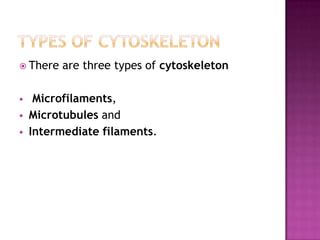 Cytoskeleton | PPTX