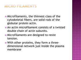 Cytoskeleton | PPTX