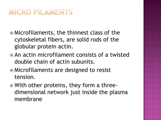 Cytoskeleton | PPT