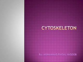 Cytoskeleton | PPT
