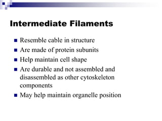 STPM Form 6 Biology Cytoskeleton | PPTX