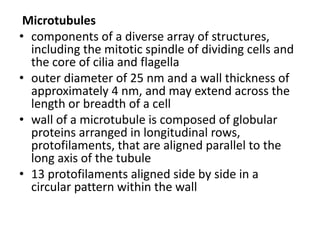 Cytoskeleton | PPTX