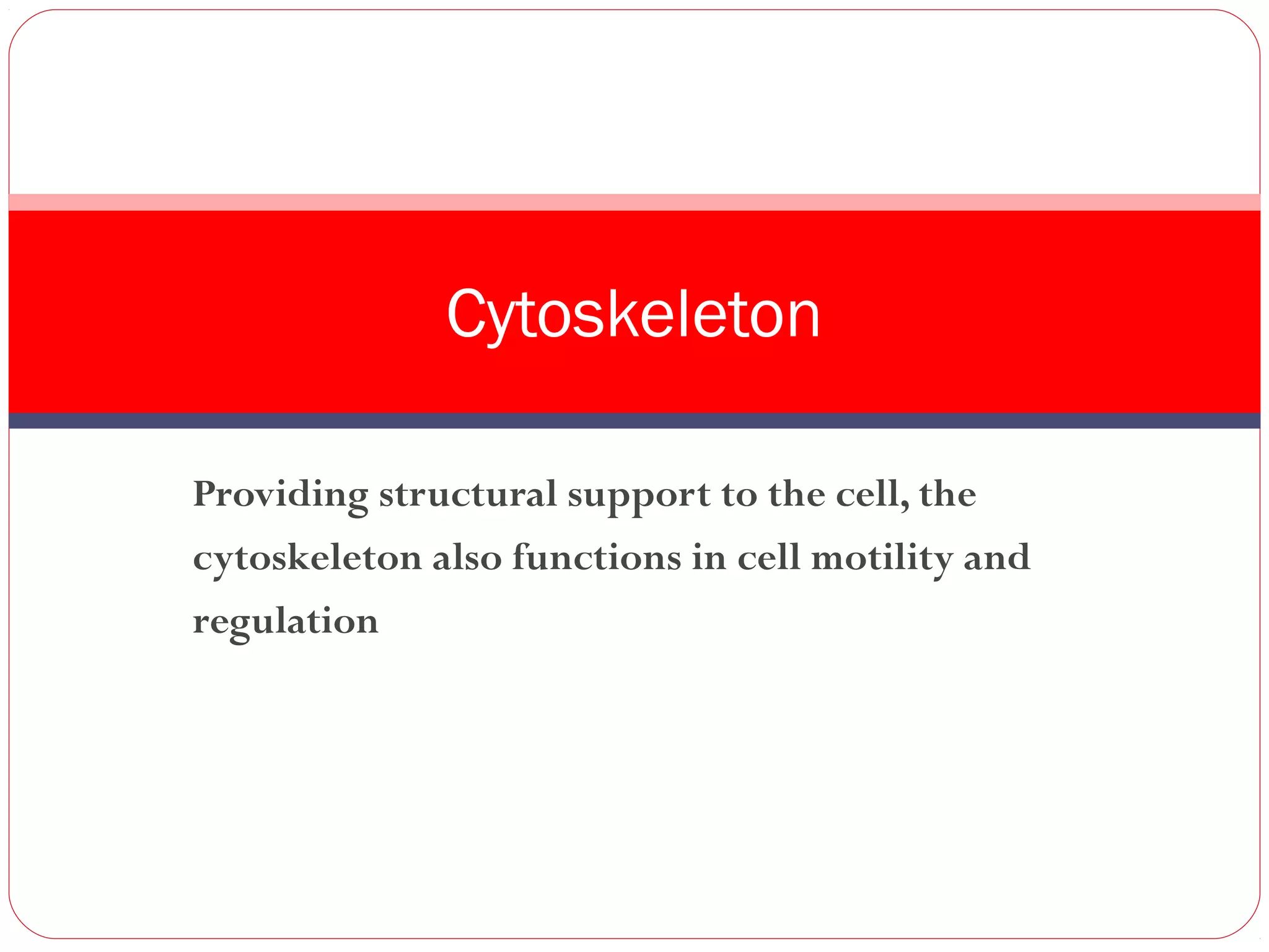Cytoskeleton | PPT