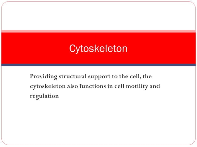 Cytoskeleton | PPT