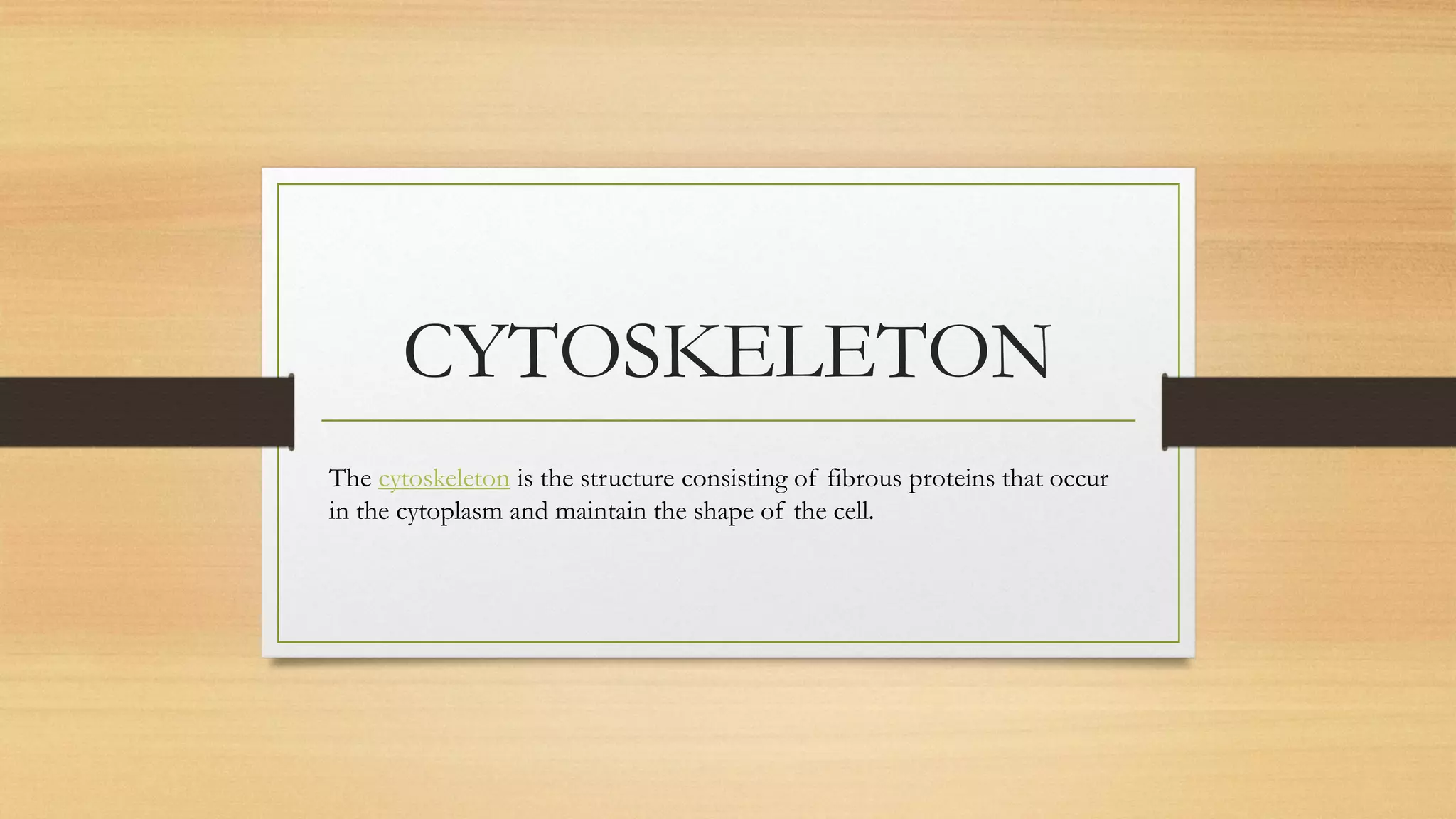 Cytoskeleton | PDF