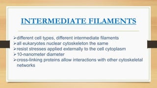 Cytoskeleton | PDF