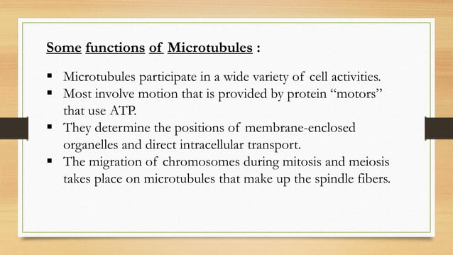 Cytoskeleton | PDF | Biological Sciences | Science
