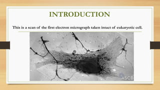 Cytoskeleton | PDF