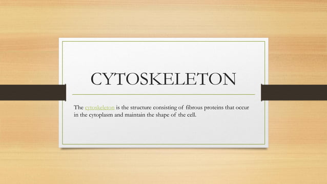 Cytoskeleton | PDF | Biological Sciences | Science