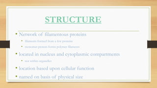 Cytoskeleton | PDF