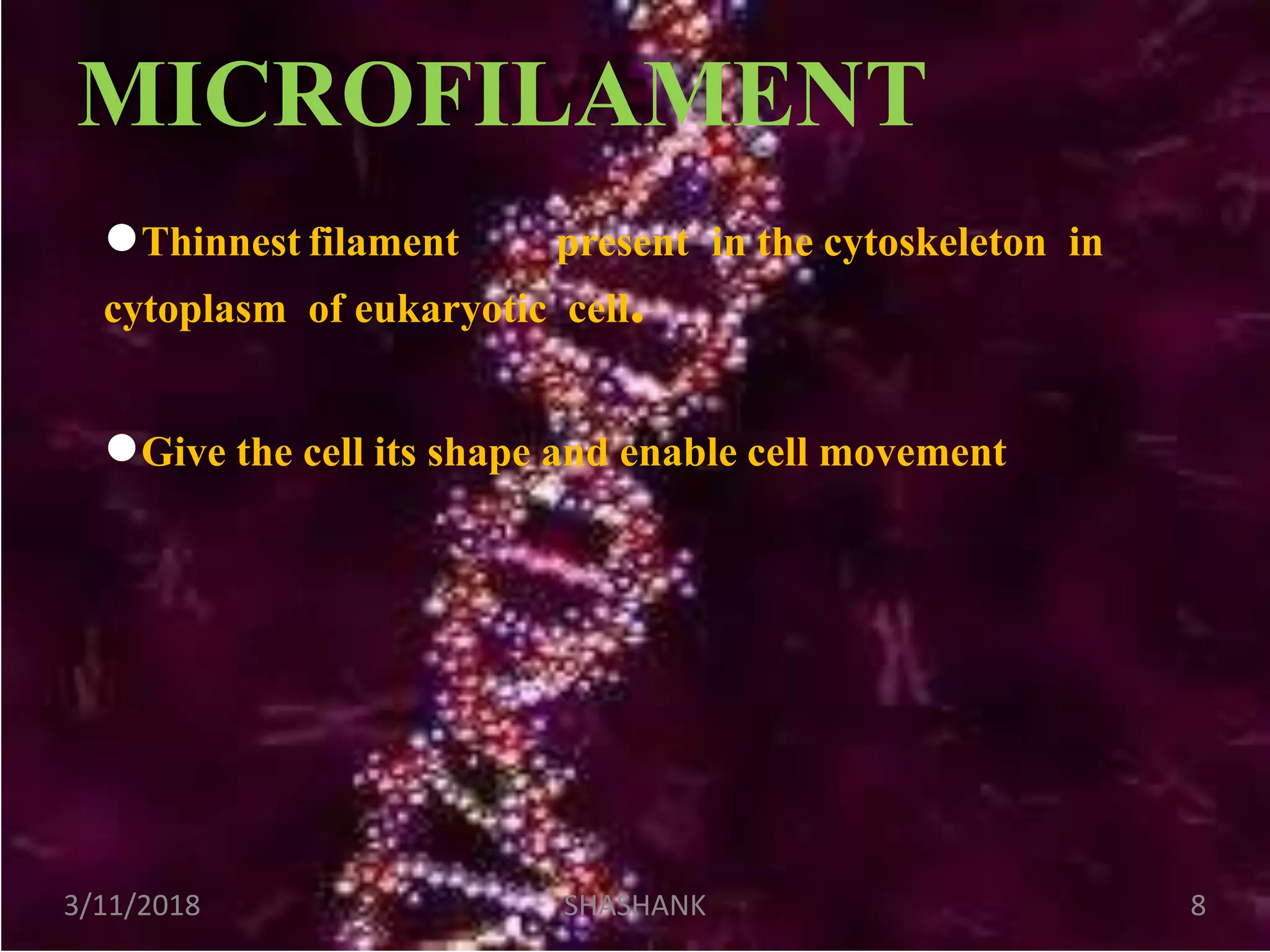 Cytoskeleton | PPTX