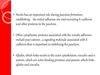 Cytoskeleton | PPTX