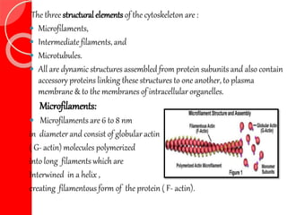 Cytoskeleton | PPTX