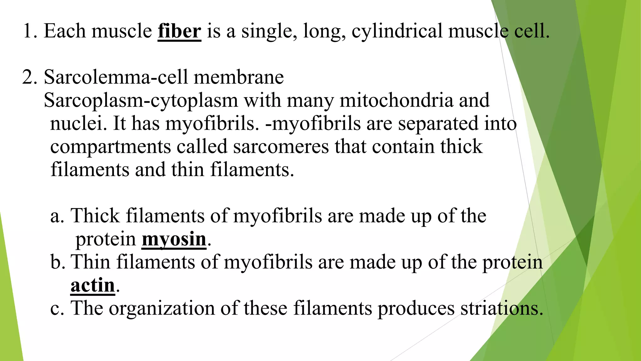 Cytoskeleton presentation (introduction structure & function) | PPTX
