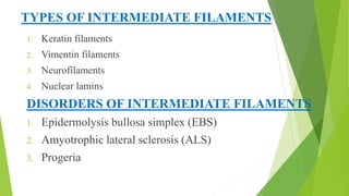 Cytoskeleton presentation (introduction structure & function) | PPTX