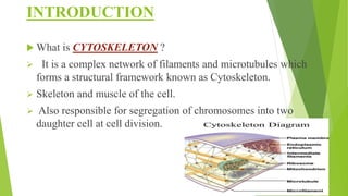Cytoskeleton presentation (introduction structure & function) | PPT