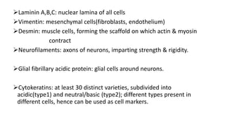 Cytoskeleton . Dr. Abhinav Golla , Associate Professor , Lab Director ...