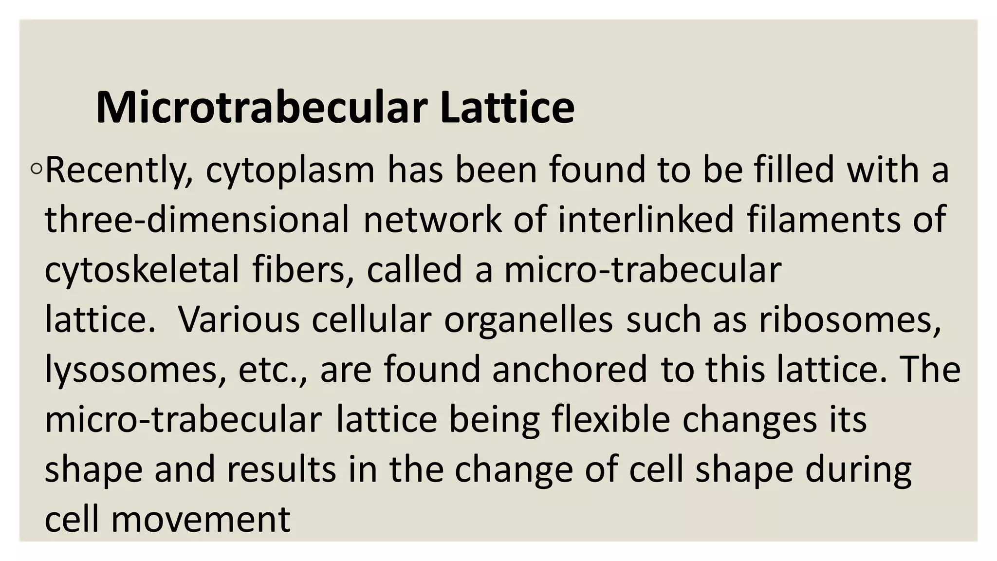 Cytoskeleton - microtubules ,microfilaments and intermediate filaments ...