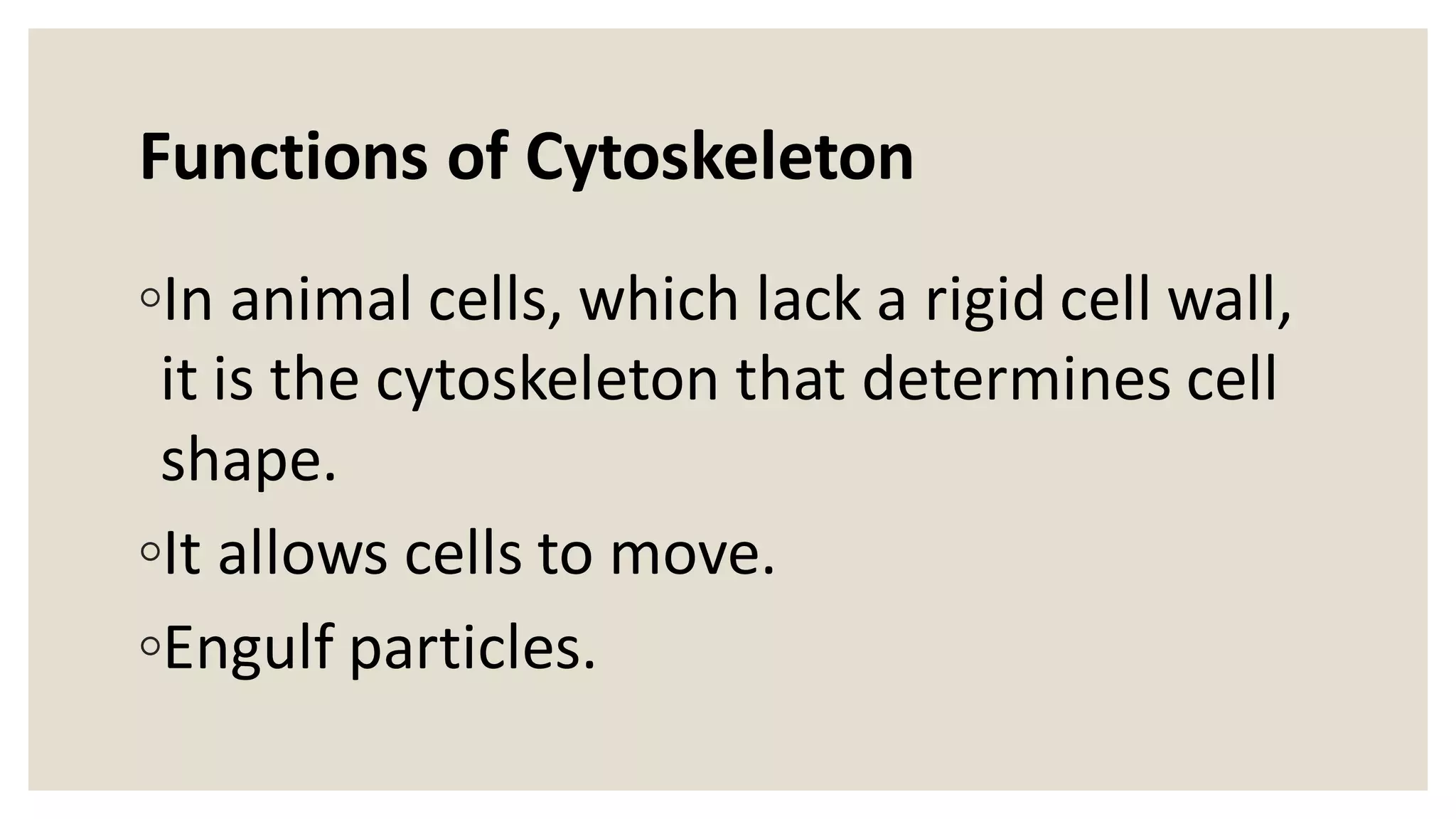 Cytoskeleton - microtubules ,microfilaments and intermediate filaments ...