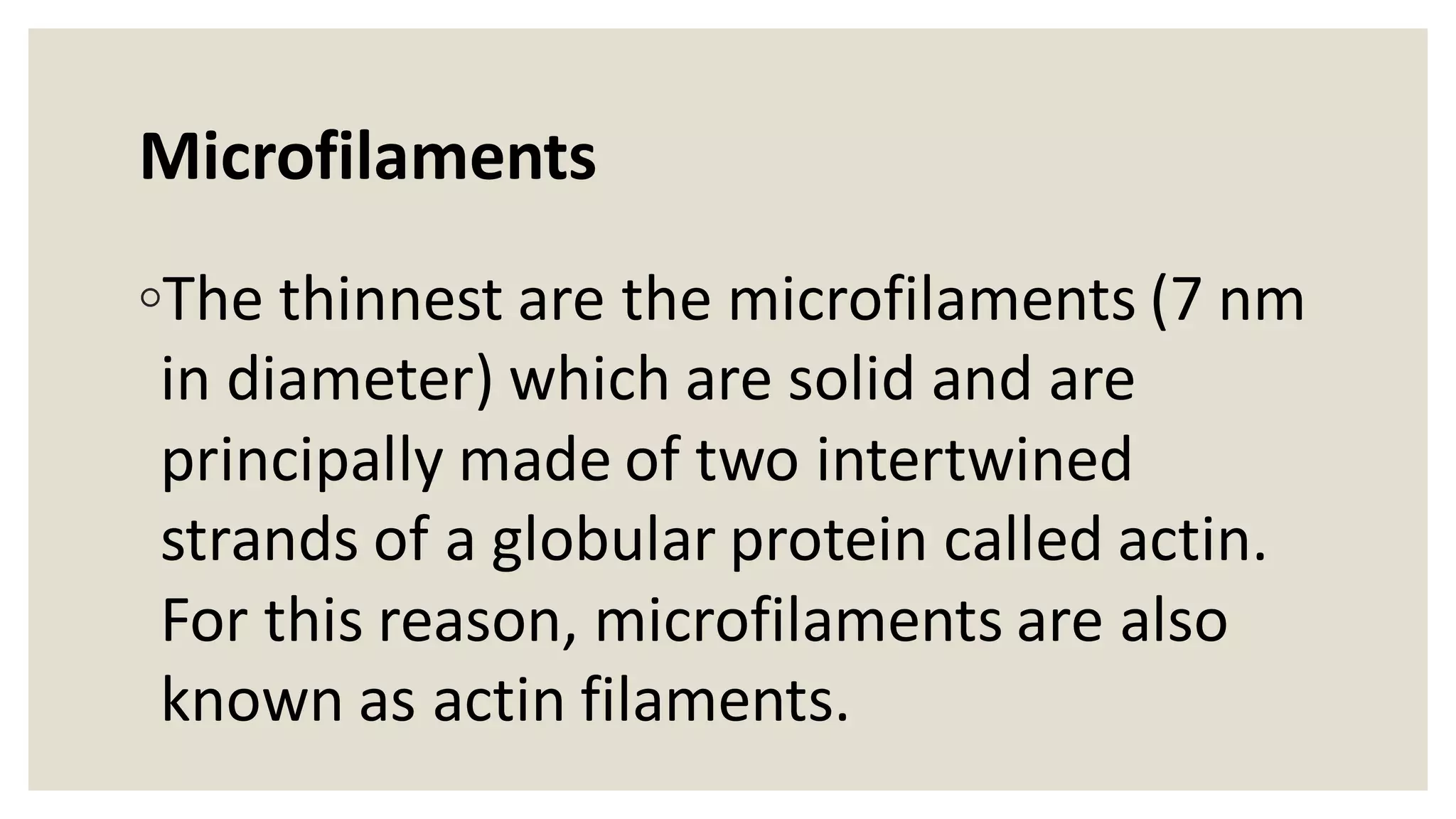Cytoskeleton - microtubules ,microfilaments and intermediate filaments ...