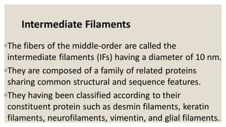 Cytoskeleton - microtubules ,microfilaments and intermediate filaments ...